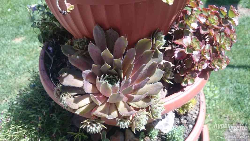 Netřesky - bazar - Hyperinzerce.cz