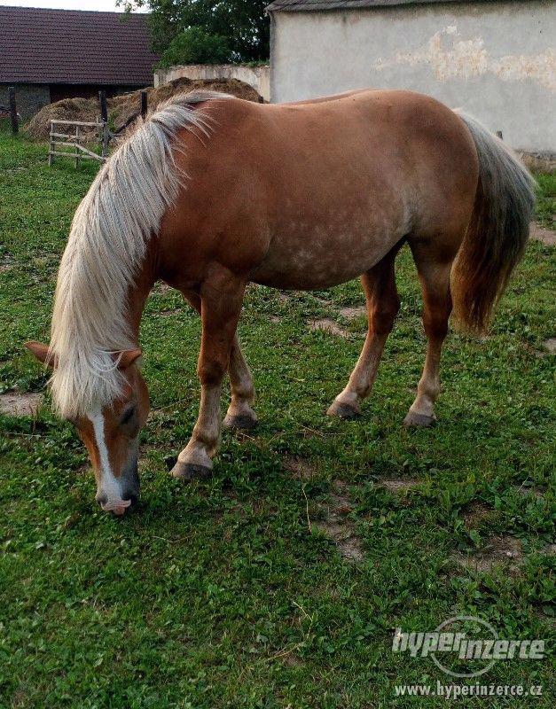 Hafling - bazar - Hyperinzerce.cz