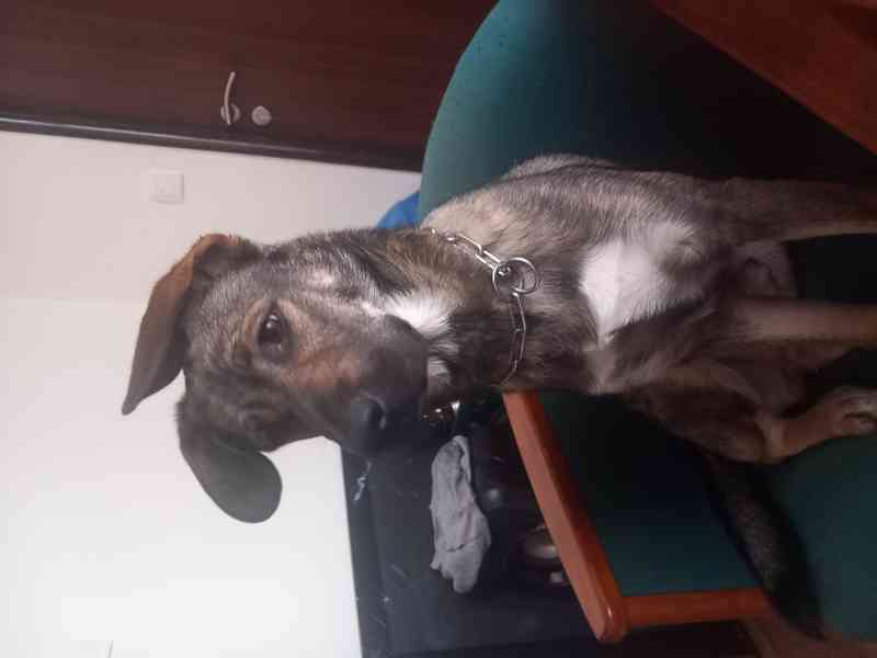 Stene - bazar - Hyperinzerce.cz