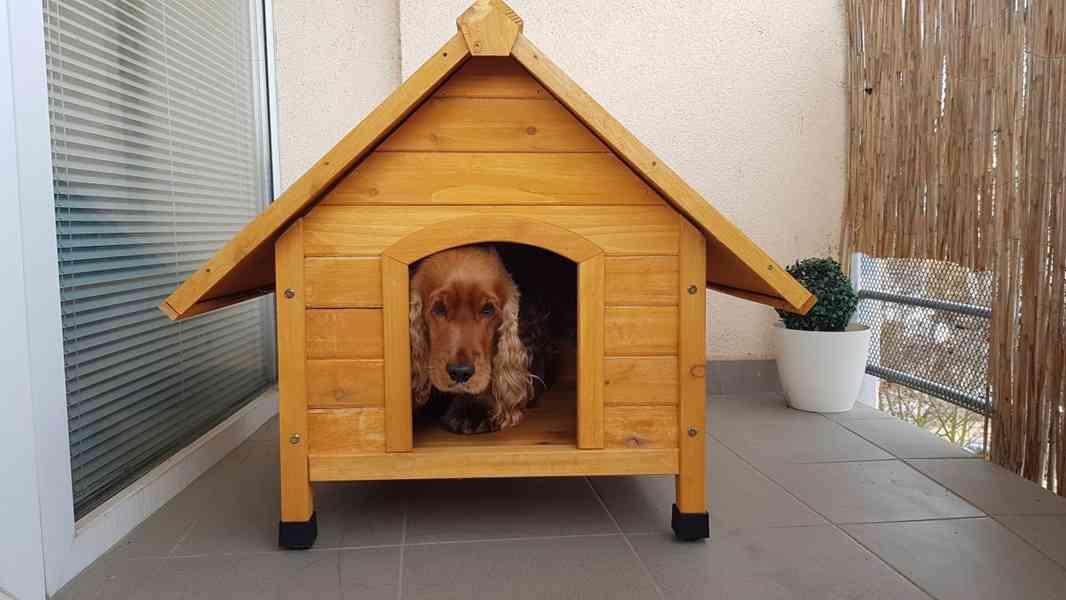 Psí bouda / bouda pro psa - bazar - Hyperinzerce.cz