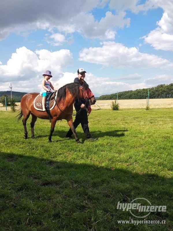 Jízdy na koních - bazar - Hyperinzerce.cz