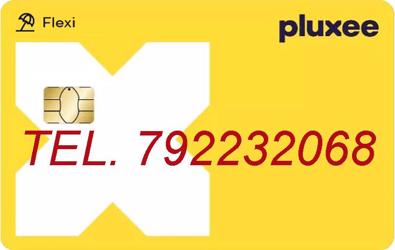 Ihned koupím STRAVENKY, POUKAZY, BENEFITY - PLUXEE - EDENRED - bazar ...