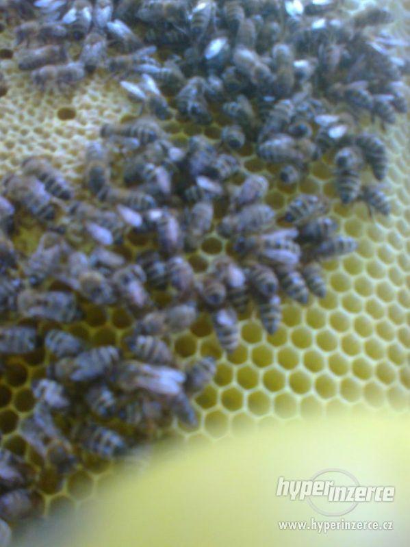 Včelí úly pro začínající včelaře a seniory - bazar - Hyperinzerce.cz