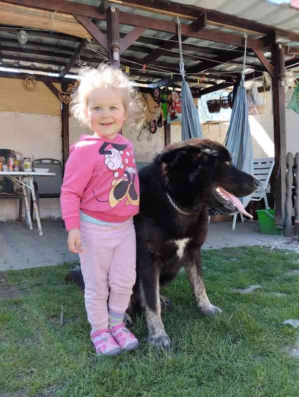 Martina Zemanová - bazar - Hyperinzerce.cz