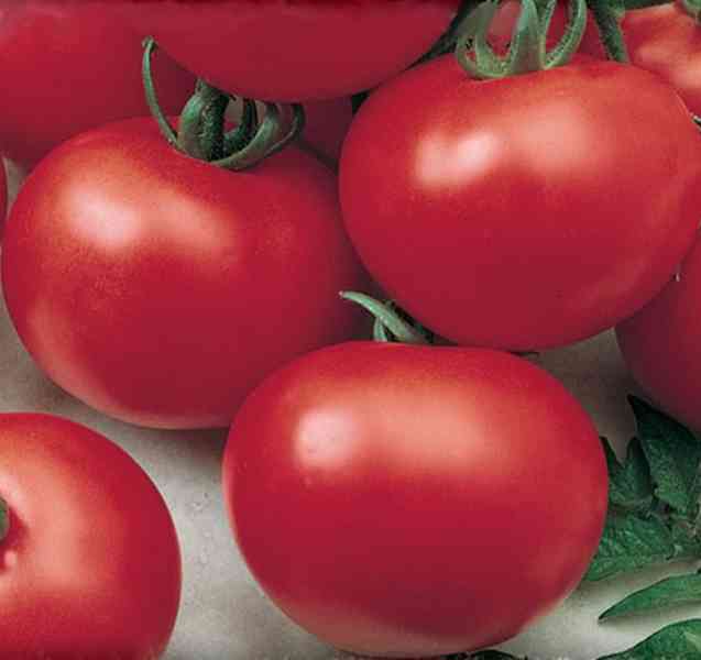 RAJČE DALIMIL - SEMENA - bazar - Hyperinzerce.cz