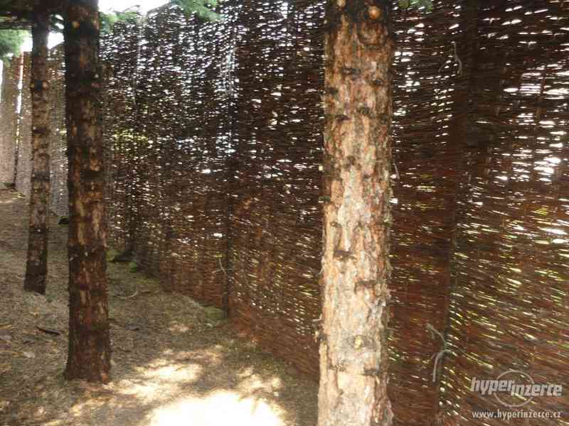 Proutěné ploty - bazar - Hyperinzerce.cz