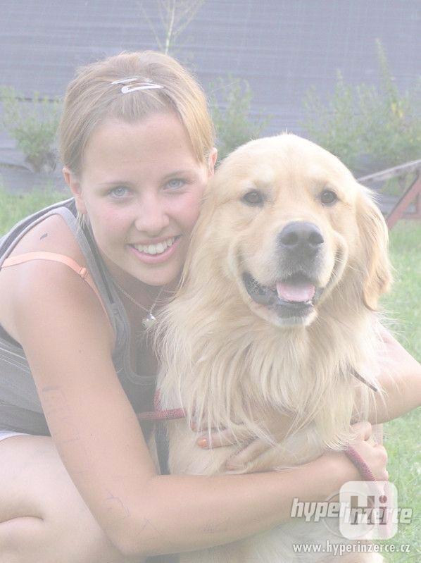 LETNÍ TÁBOR PRO DĚTI A PSY - bazar - Hyperinzerce.cz