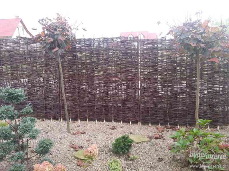 Proutěné ploty - bazar - Hyperinzerce.cz