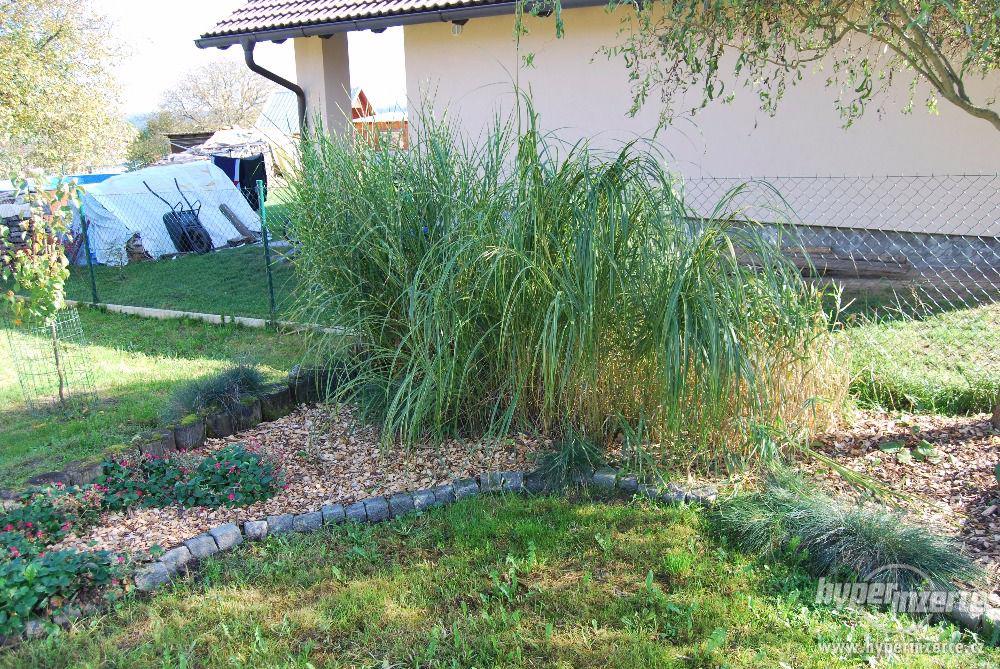 Dekorativní mulčovací dřevní štěpka - bazar - Hyperinzerce.cz