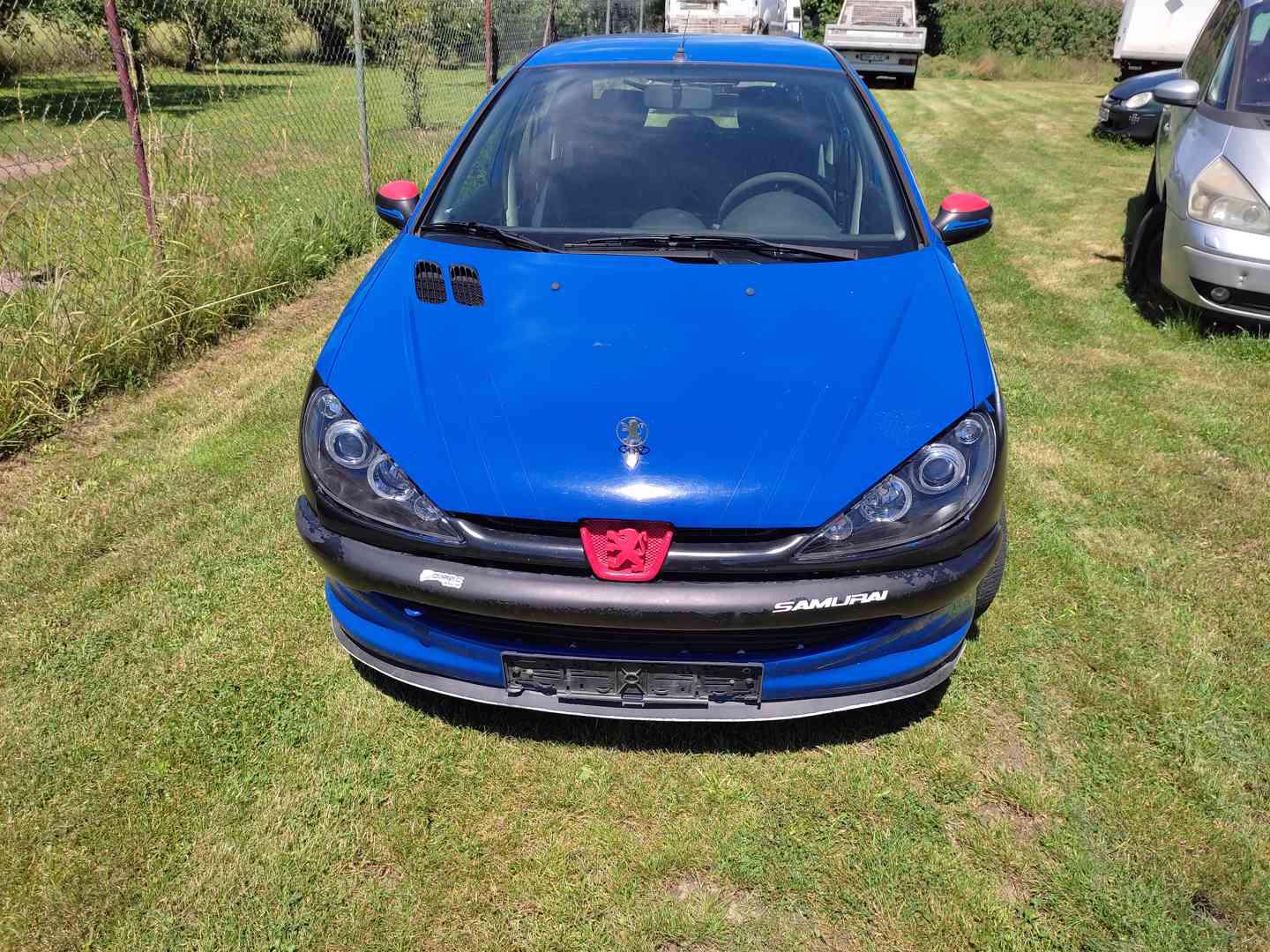 Peugeot 206 Typische Mngel