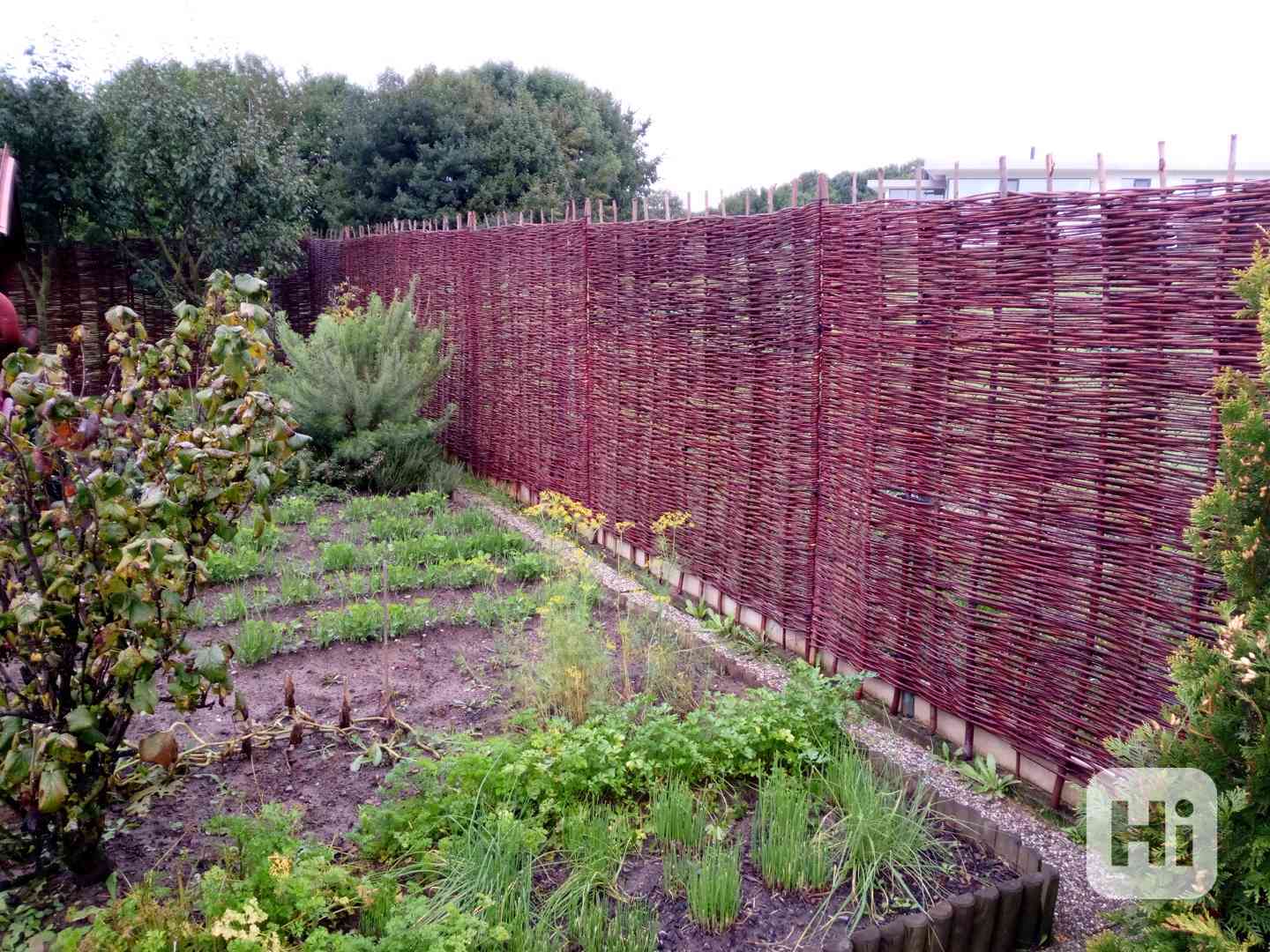 Proutěný vrbový plot - bazar - Hyperinzerce.cz