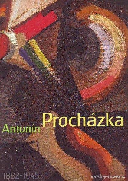 ANTONÍN PROCHÁZKA 1882 - 1945 - VELKÁ MONOGRAFIE MALÍŘE !!! - bazar ...