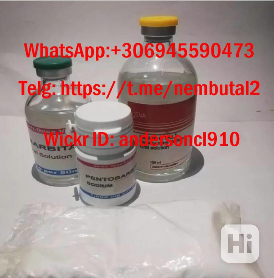 Nembutal Pentobarbital Sodium | Nembutal Powder - bazar - Hyperinzerce.cz