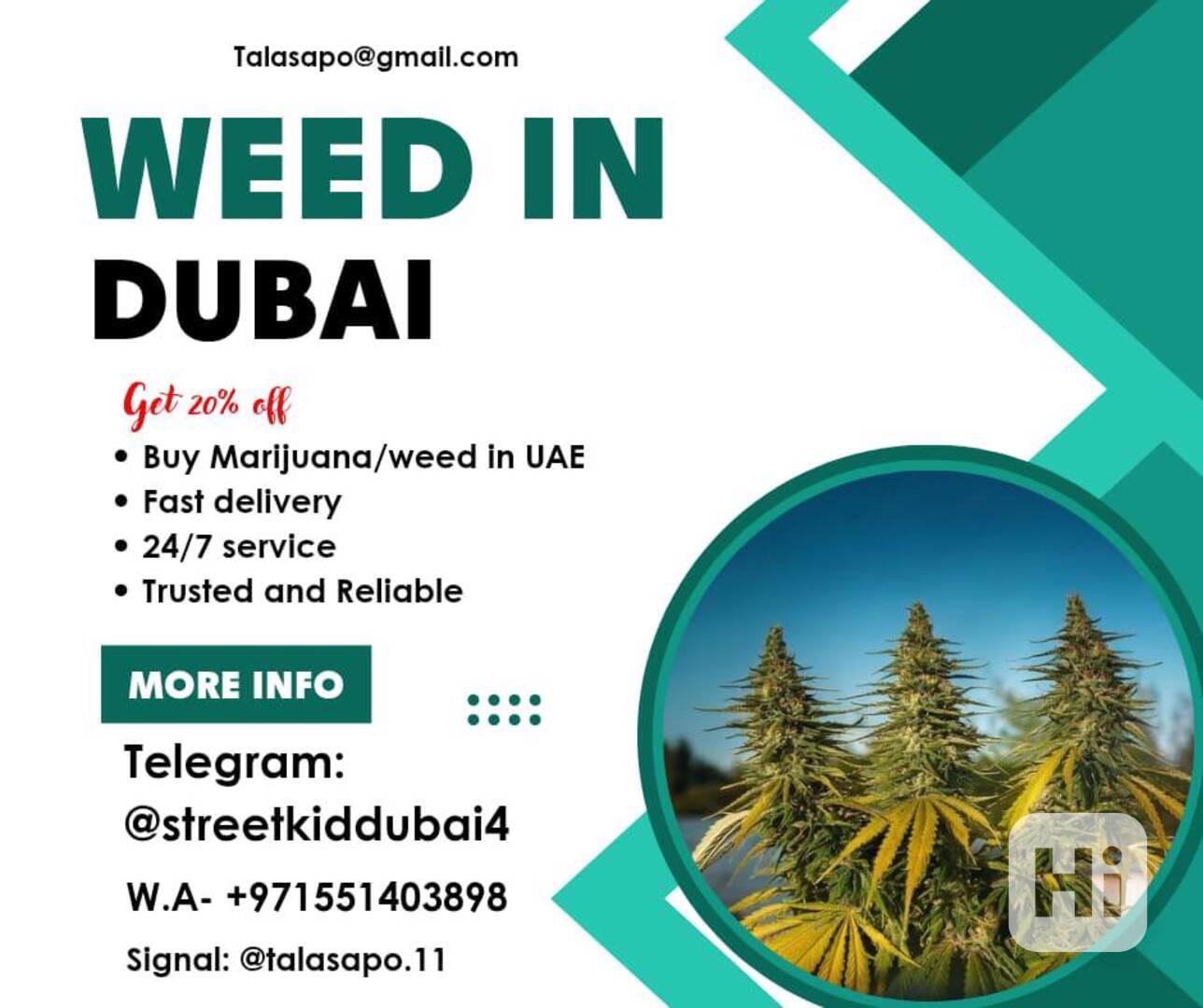 signal–talasapo.11, W.A +971551403898 | Buy Hashish In Dubai - bazar ...
