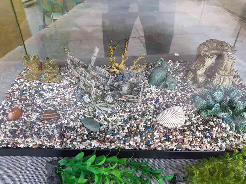 Prodám akvárium 54l - bazar - Hyperinzerce.cz