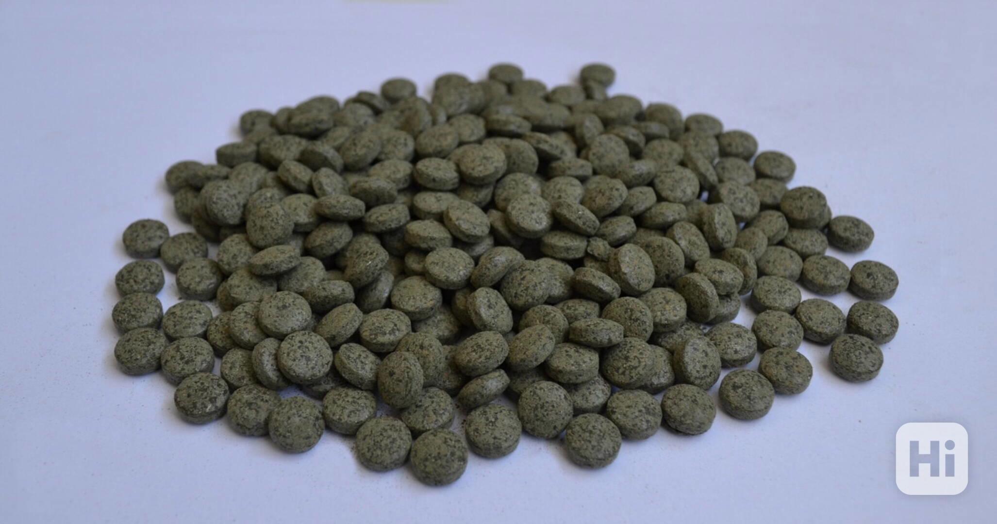 Krmivo pro akvarijní rybičky - bazar - Hyperinzerce.cz